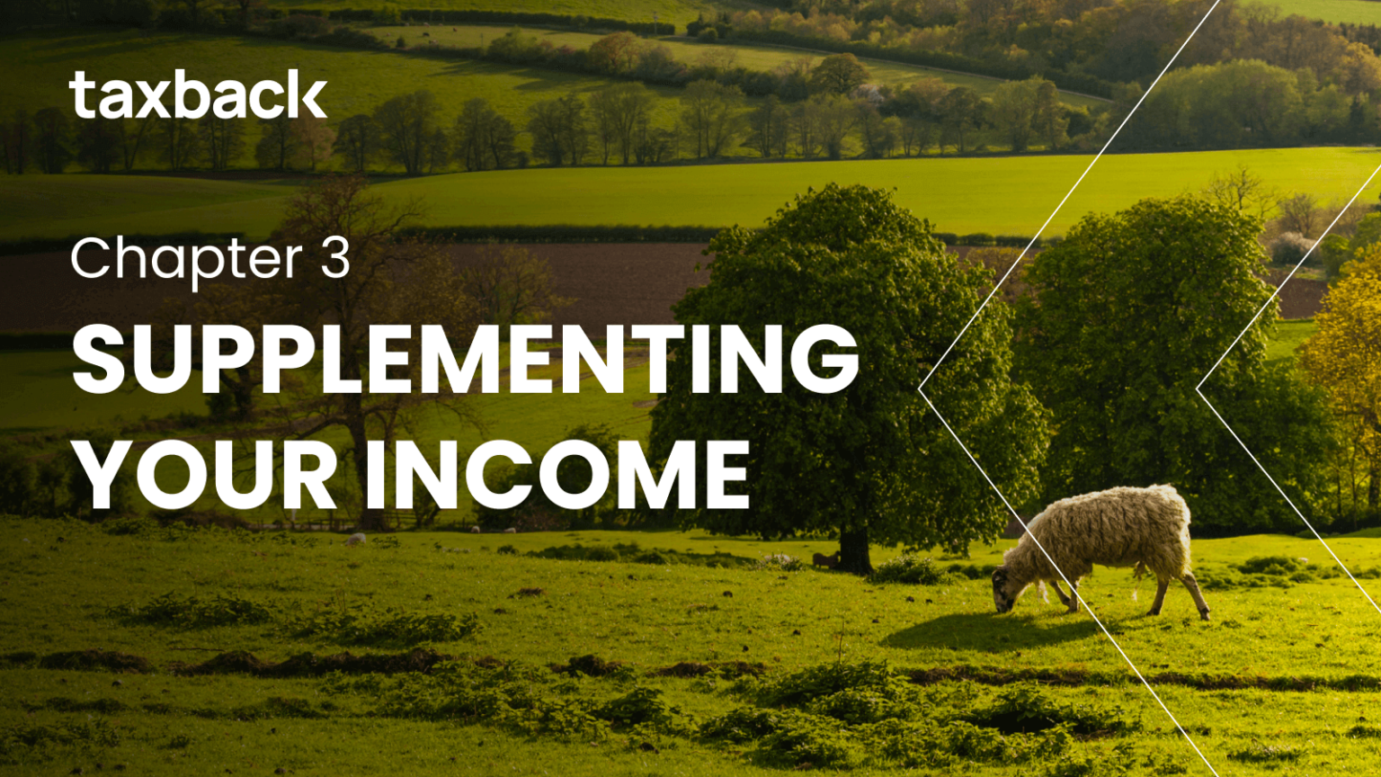 Your Bullsh*t-Free Guide to Self-Assessment Taxes in Ireland