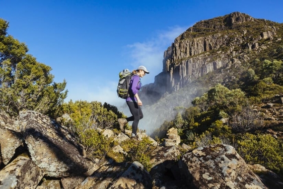 Latest News from taxback.com